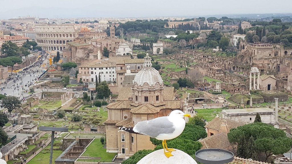 Visitare l’Altare della Patria, 3 modi per scoprirlo fino alla cima