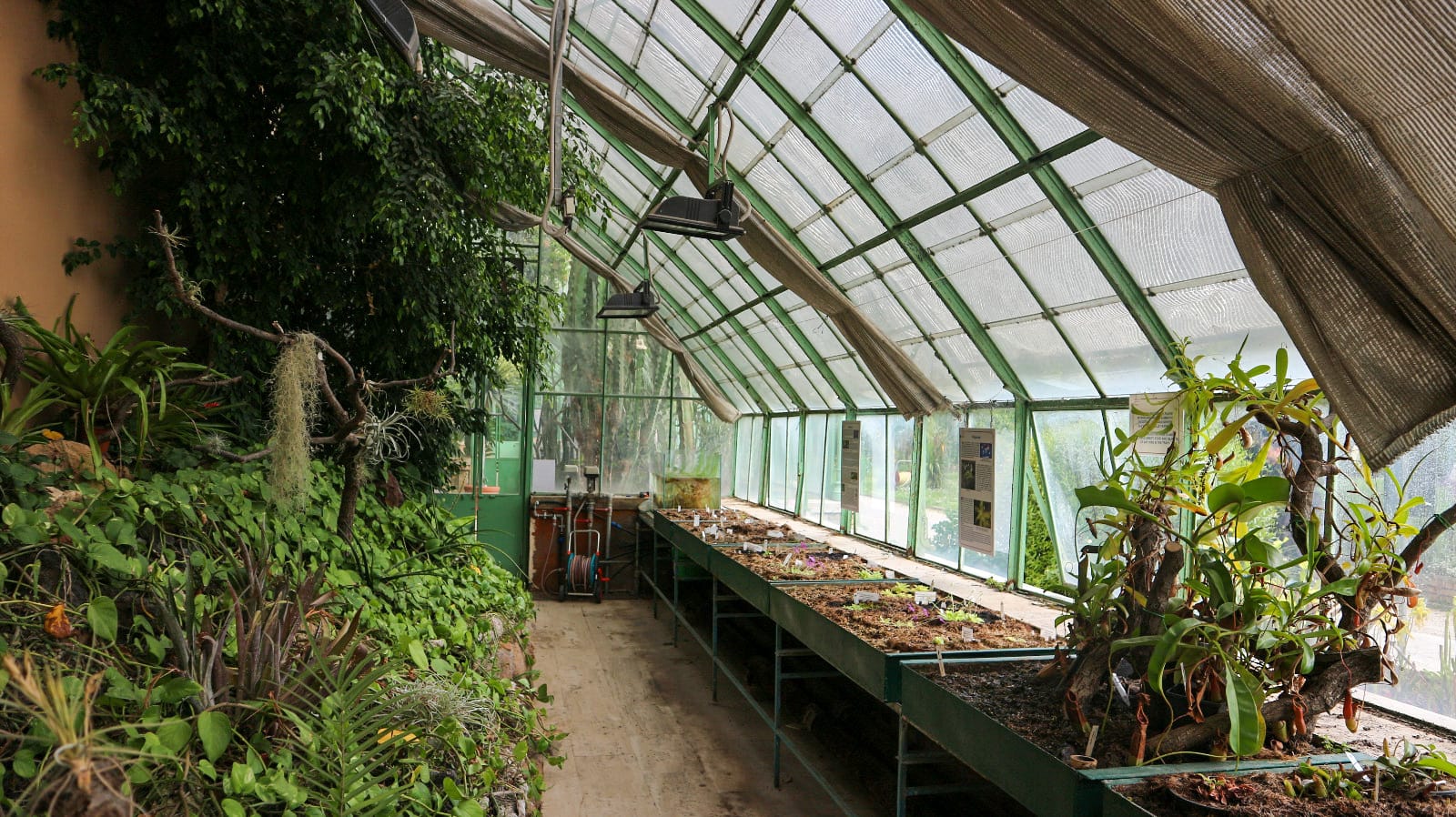 Orto Botanico di Roma, passeggiata nella natura in centro città