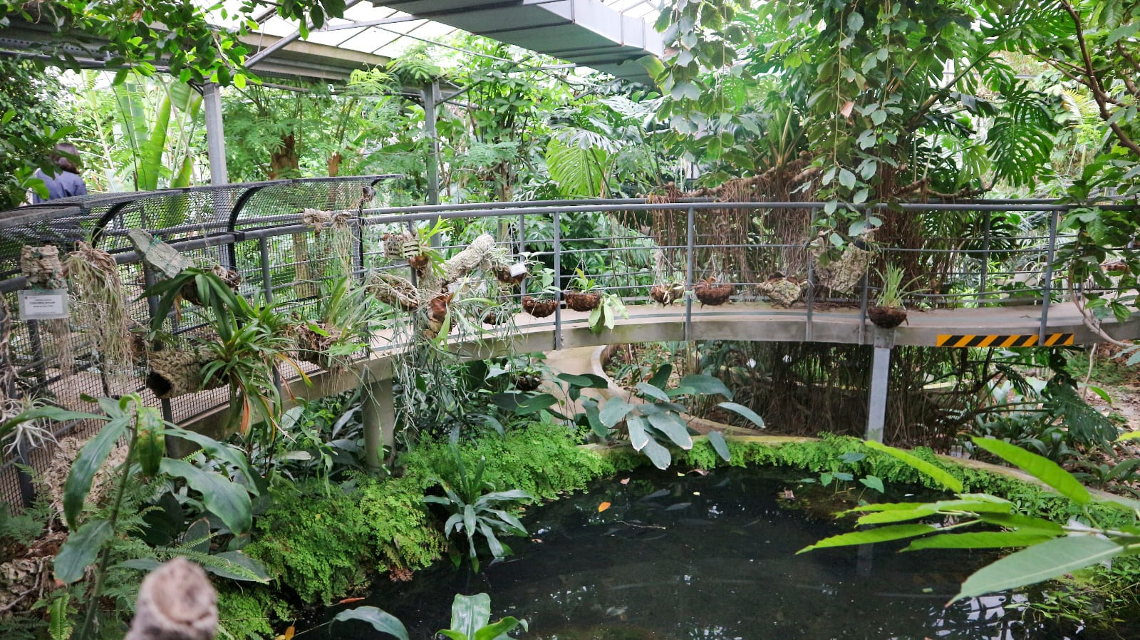 Orto Botanico di Roma, passeggiata nella natura in centro città